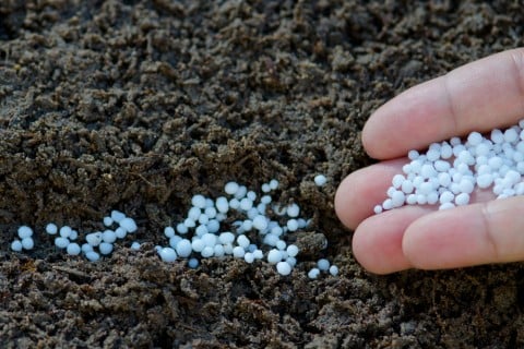 Urea Khad para diferentes cultivos: Adaptación de las estrategias de ...