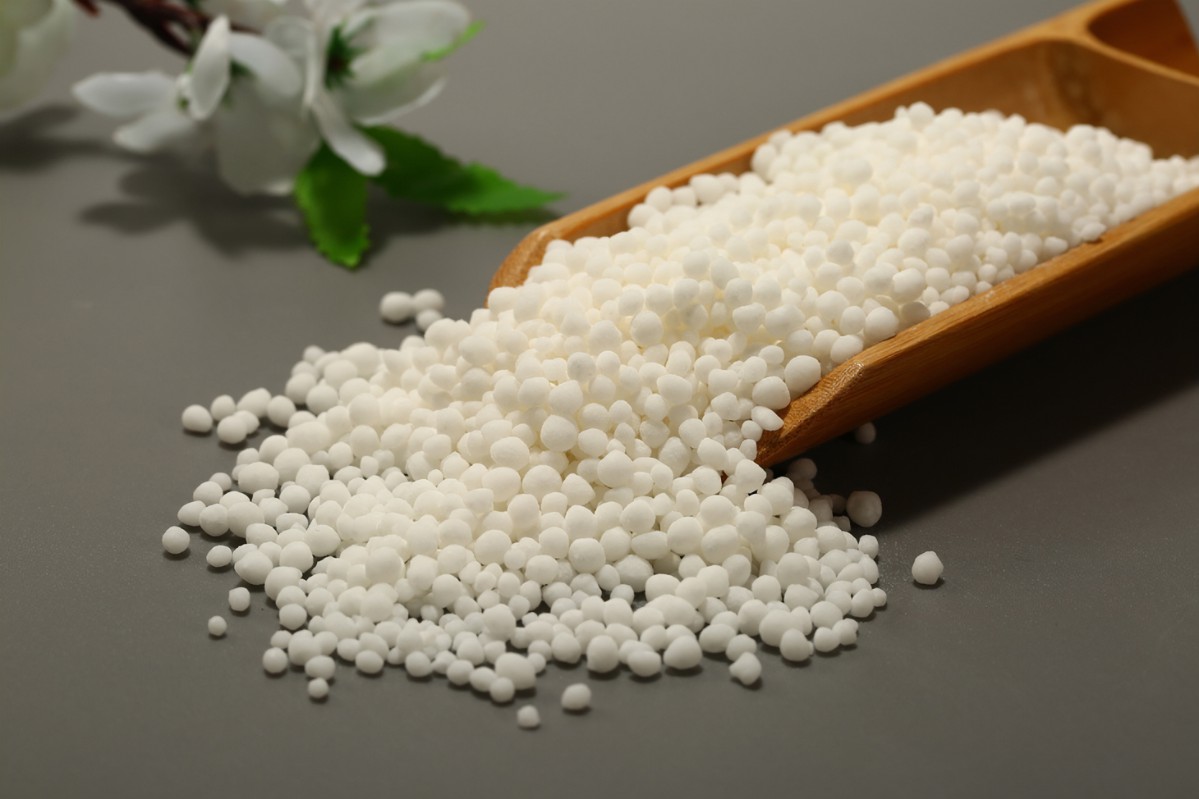 Calcium Ammonium Nitrate (CAN): Comprehensive Plant Fertilizer Guide