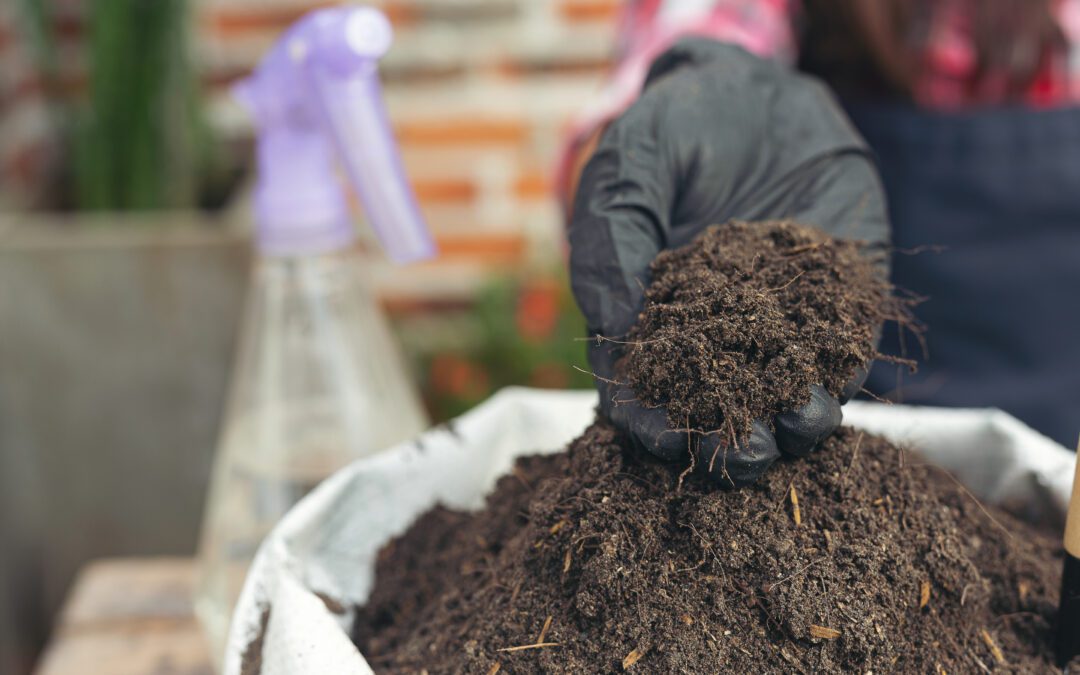 10 Science-Backed Organic Fertilizer Benefits: Soil Health to Climate ...