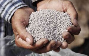 Potassium Sulfate vs Potash Fertilizers: A Complete Comparative Analysis