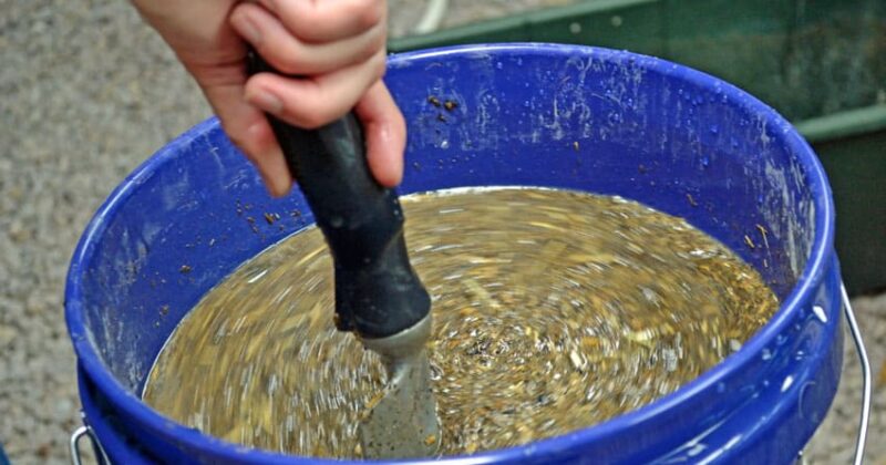 How to Make Fish Emulsion Fertilizer | A Simple DIY Guide