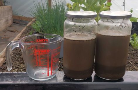 Composting Tea and Plant Disease Prevention: A Natural Defense for Your ...