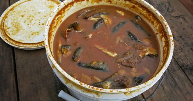 How to Make Fish Emulsion Fertilizer | A Simple DIY Guide