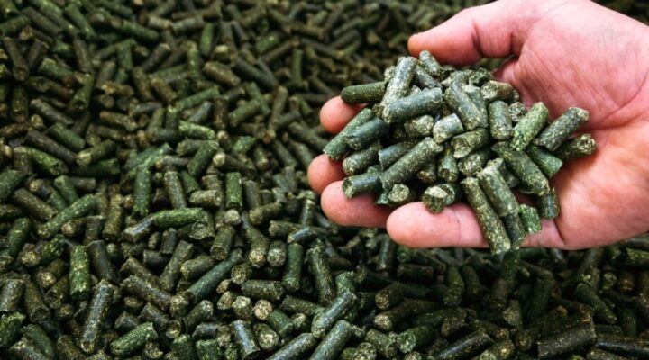 How to extend the shelf life of organic fertilizer? - Huaxin Fertiliser ...