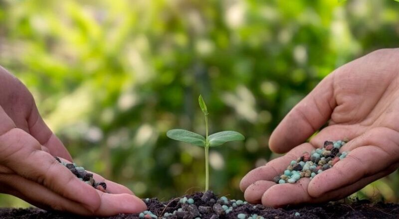 Can urea be used in organic farming? A complete breakdown of compliant ...